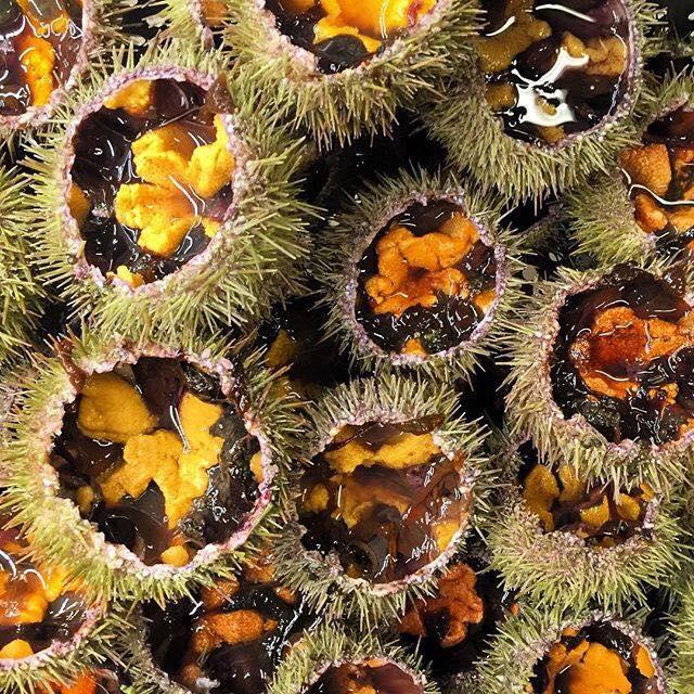 Ipswich Shellfish Fish Market Pet Policy