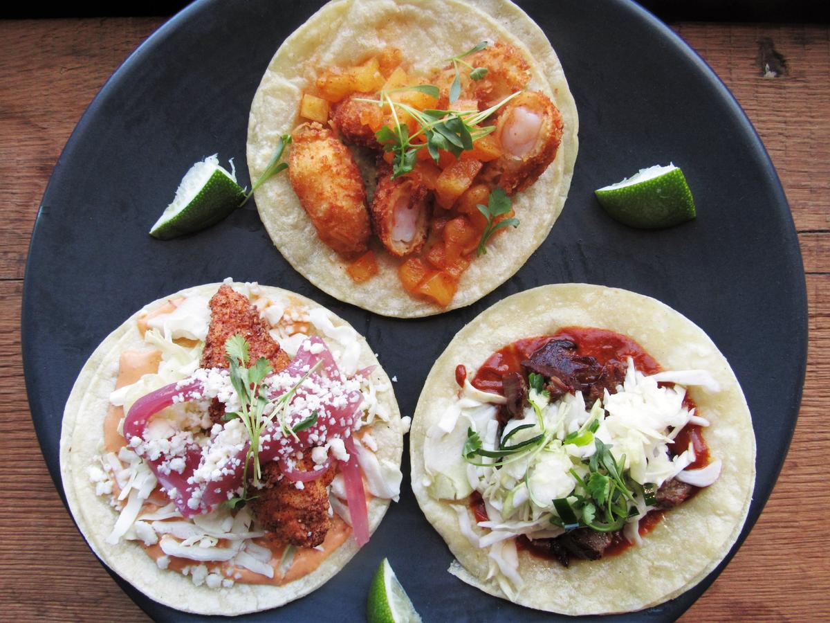 Central Taco Tequila Is Pet Friendly central-taco-tequila-is-pet-friendly