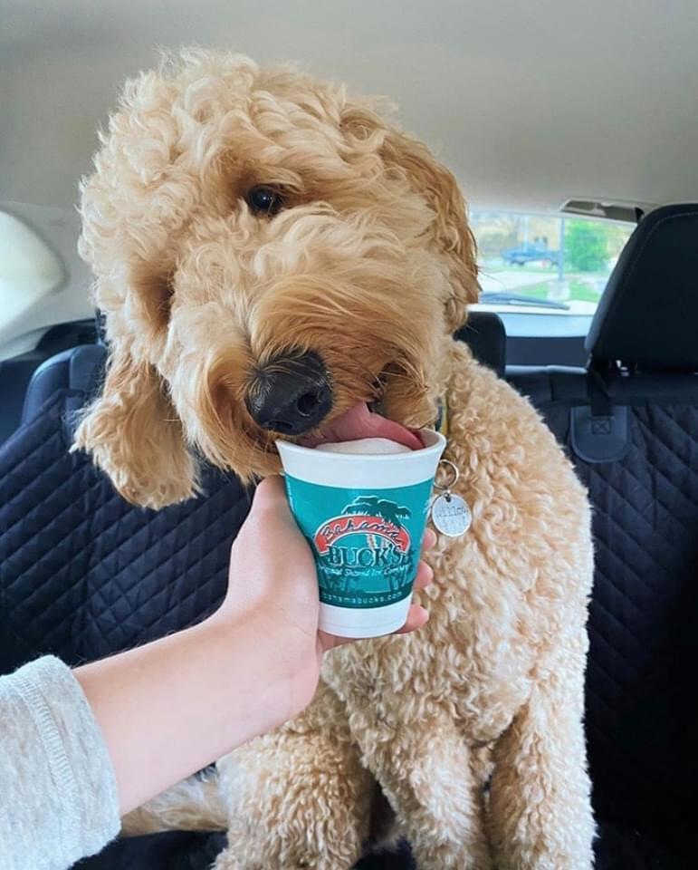 Bahama Buck's Pet Policy