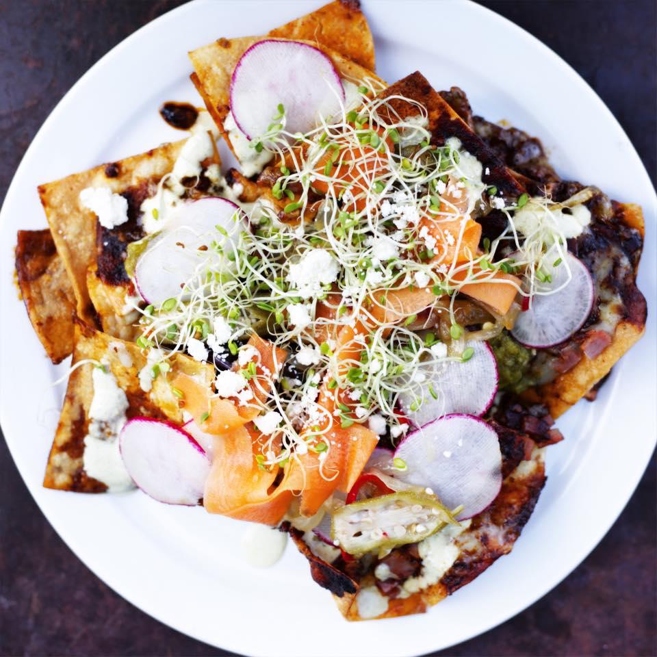 Fido Is Pet Friendly