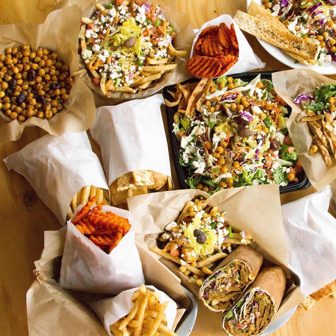 Spitz SLC Is Pet Friendly