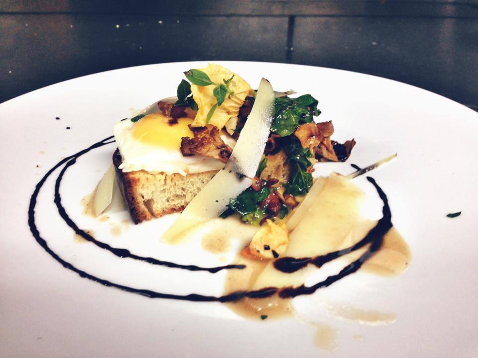 Cornucopia Is Pet Friendly