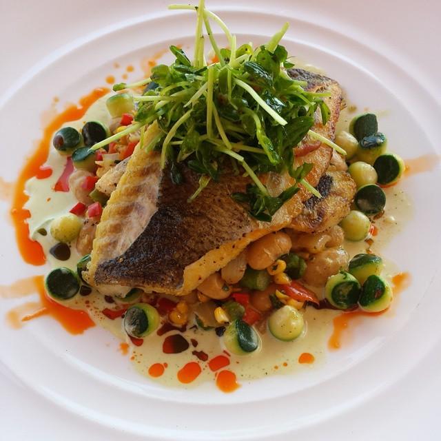 Shady Lady Saloon Pet Policy