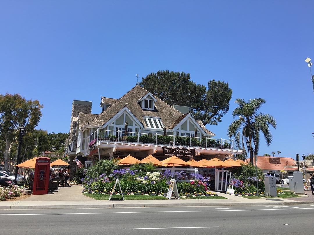 Daily News Cafe Pet Policy