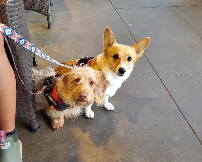 monograms plus cullman al