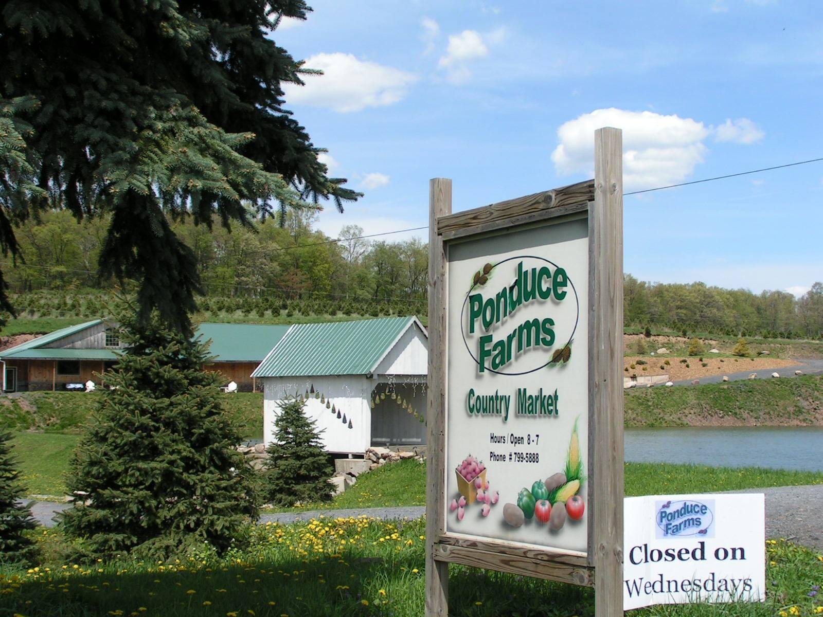 Ponduce Farms Is Pet Friendly