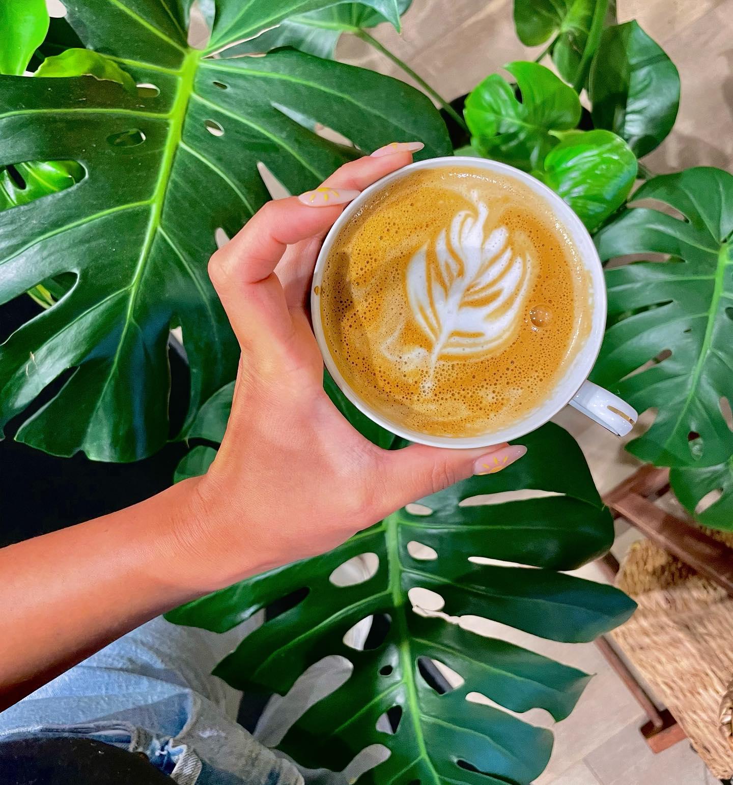 Taste 154 Pet Policy