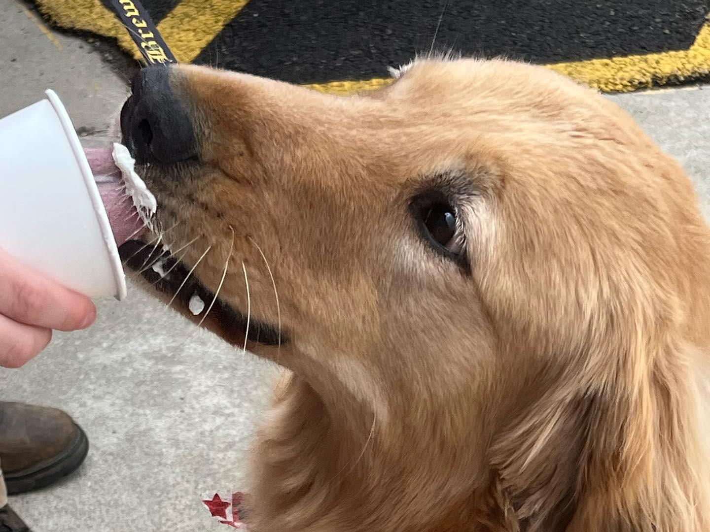 Fuel Coffee Works Pet Policy