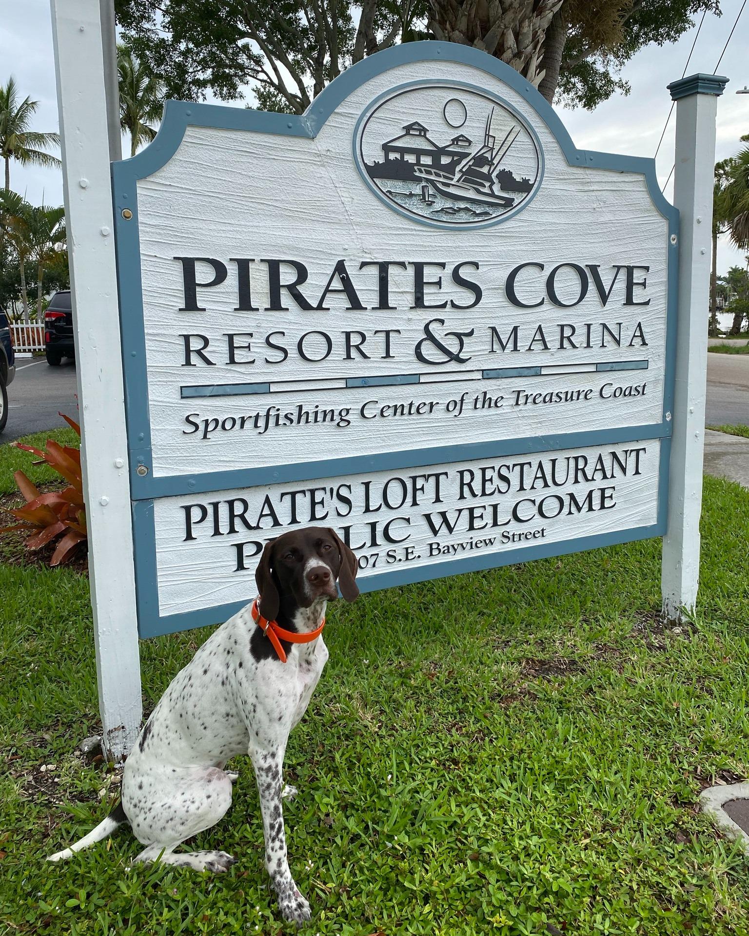 Pirate's Loft Restaurant Pet Policy