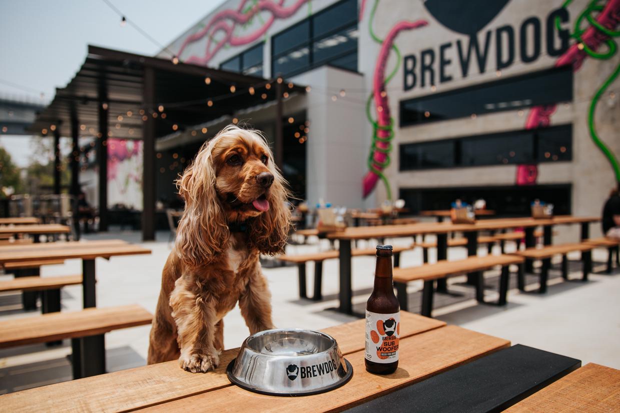 BrewDog Denver Pet Policy