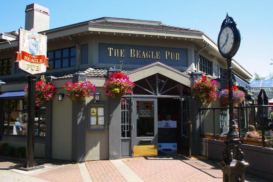 The Beagle Pub Pet Policy