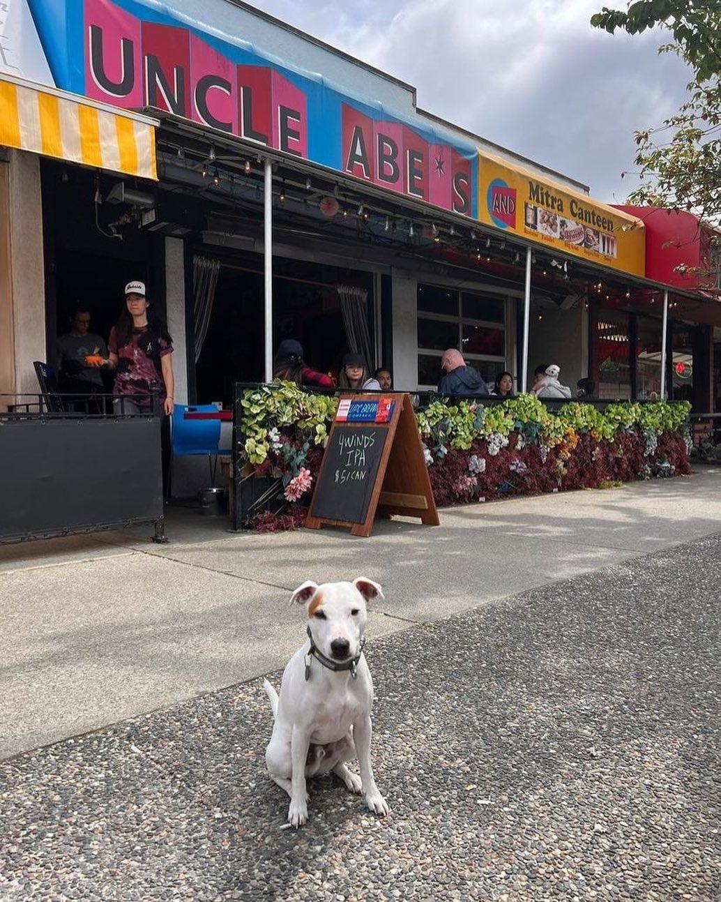 Uncle Abe's Is Pet Friendly