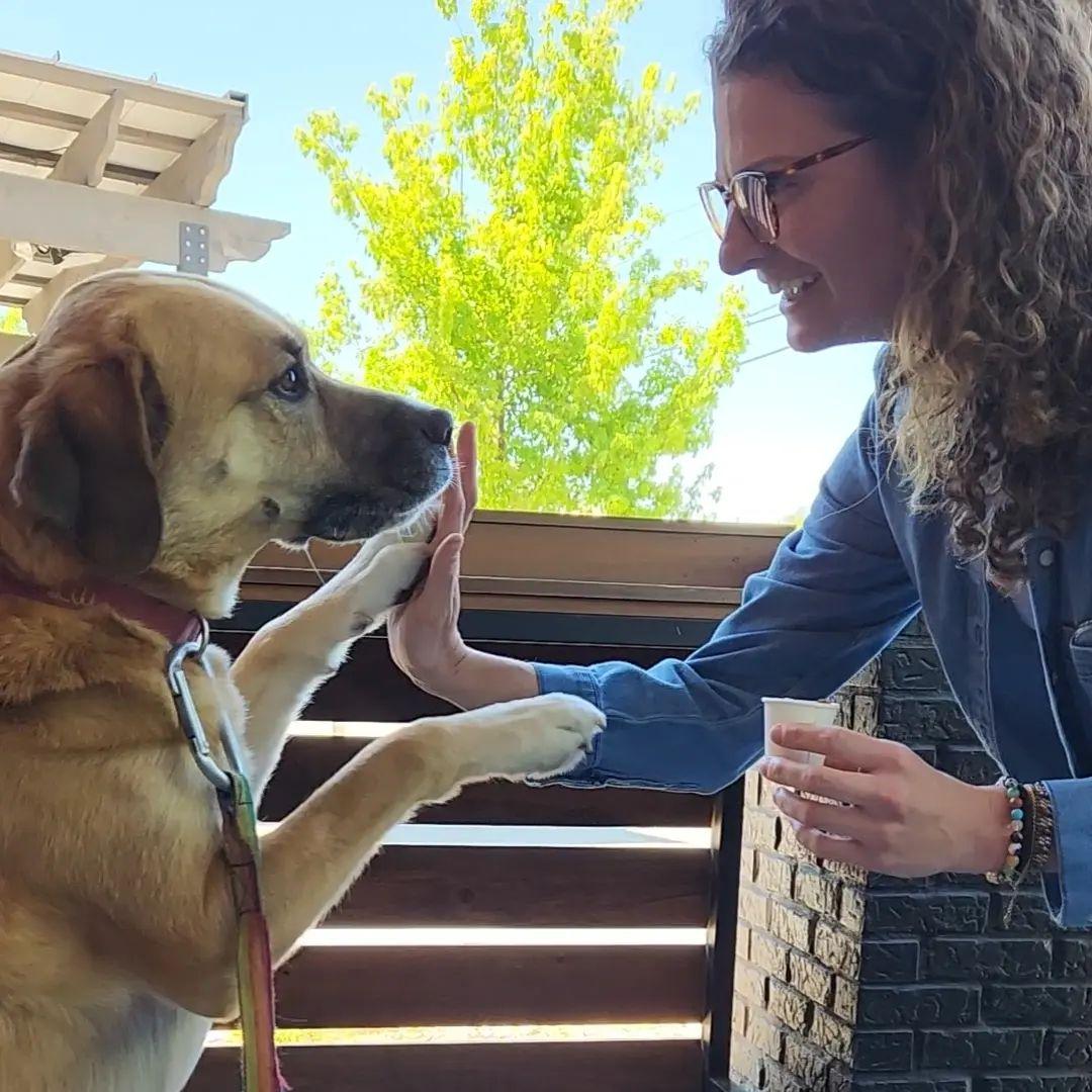 Be Caffeinated Pet Policy