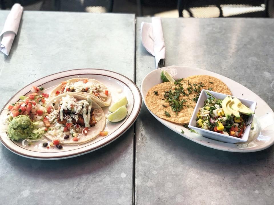 Loco Lizard Cantina Pet Policy