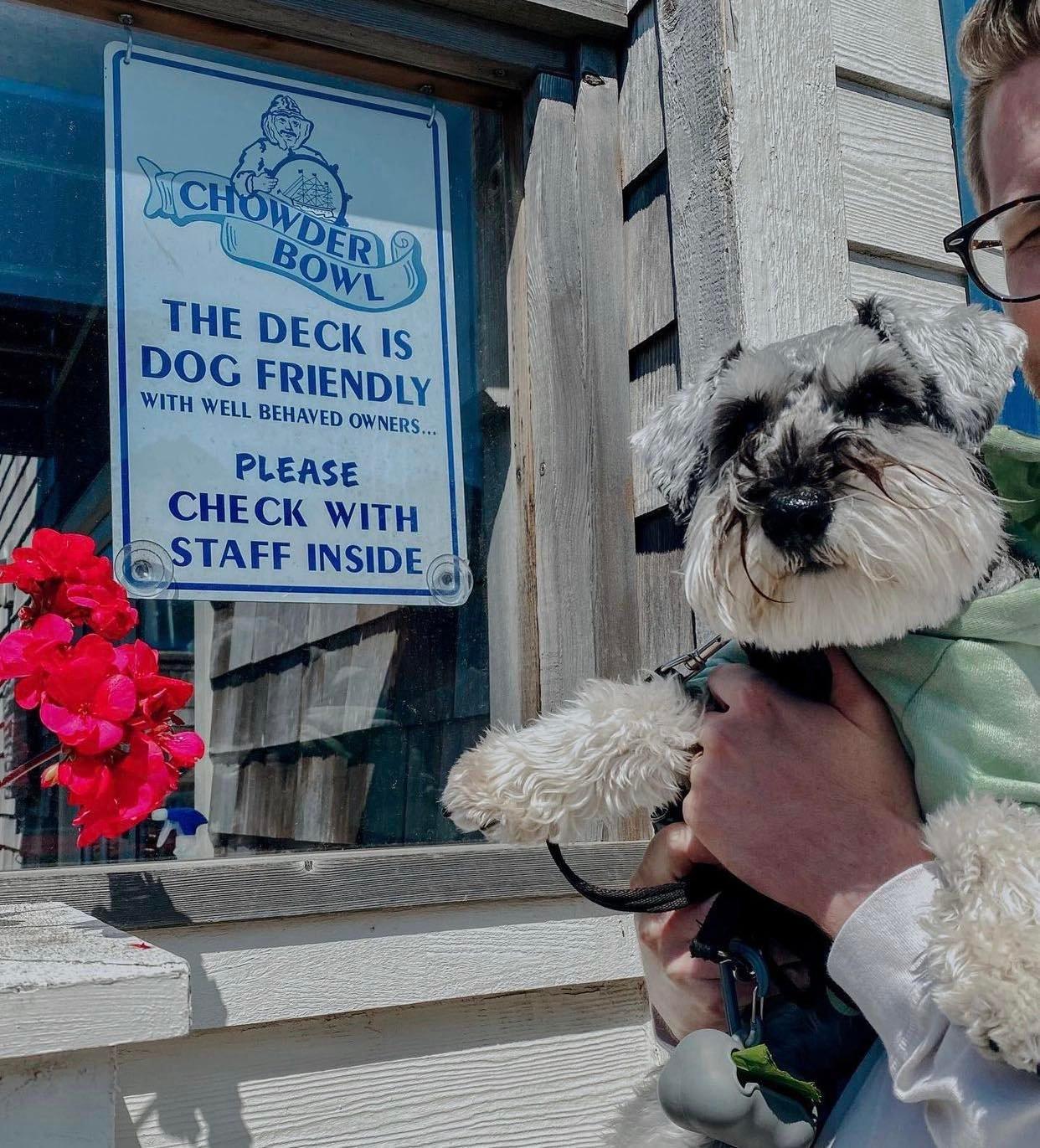 Chowder Bowl Pet Policy