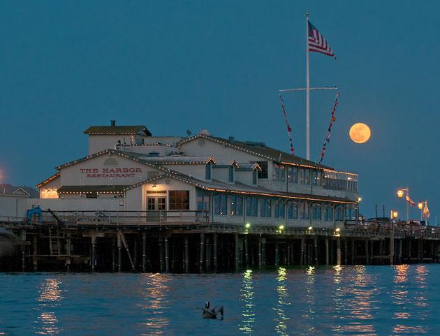 The Harbor Restaurant Is Pet Friendly