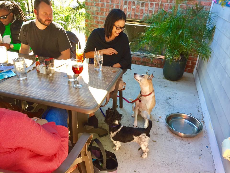 Dog Friendly Restaurants in Wilmington, NC - BringFido