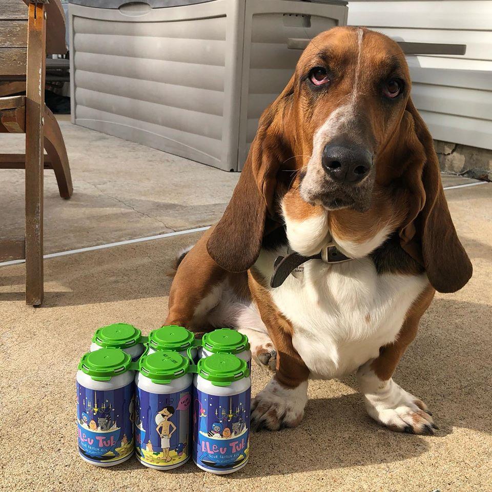 Whiner Beer Company Is Pet Friendly