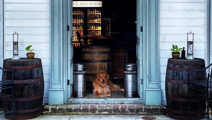 Guilded Horn Pet Policy