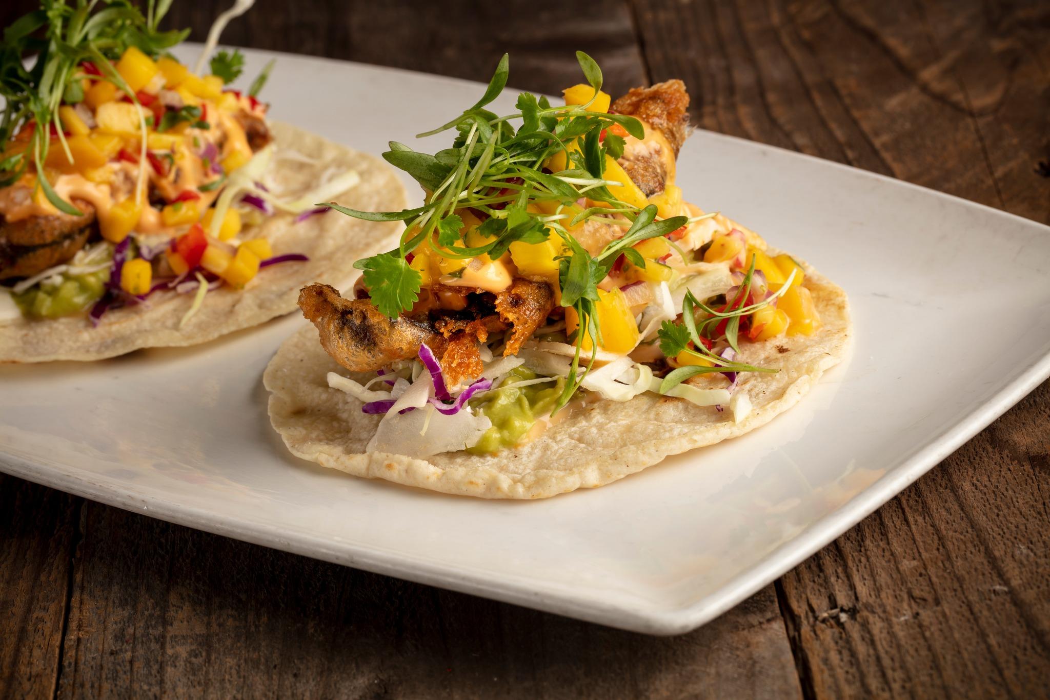 RED O "Taste of Mexico" Pet Policy