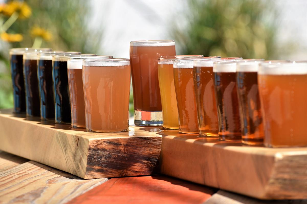 Bias Brewing Is Pet Friendly