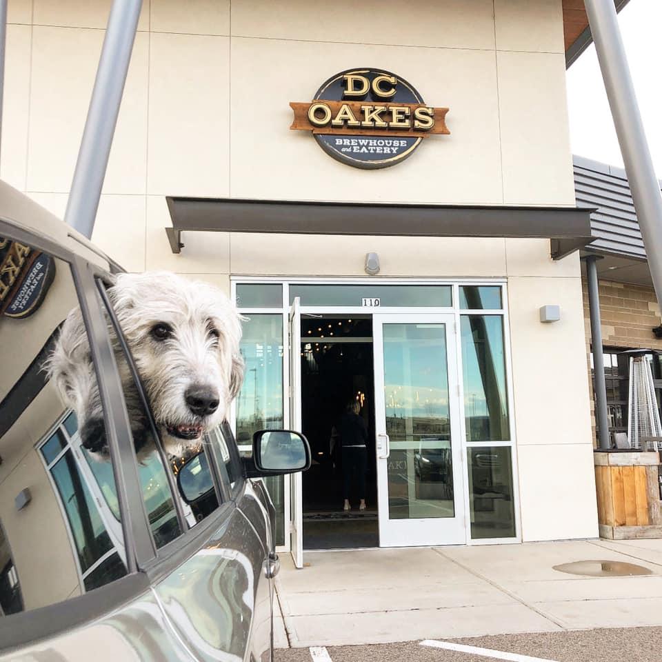DC Oakes Brewhouse And Eatery Is Pet Friendly