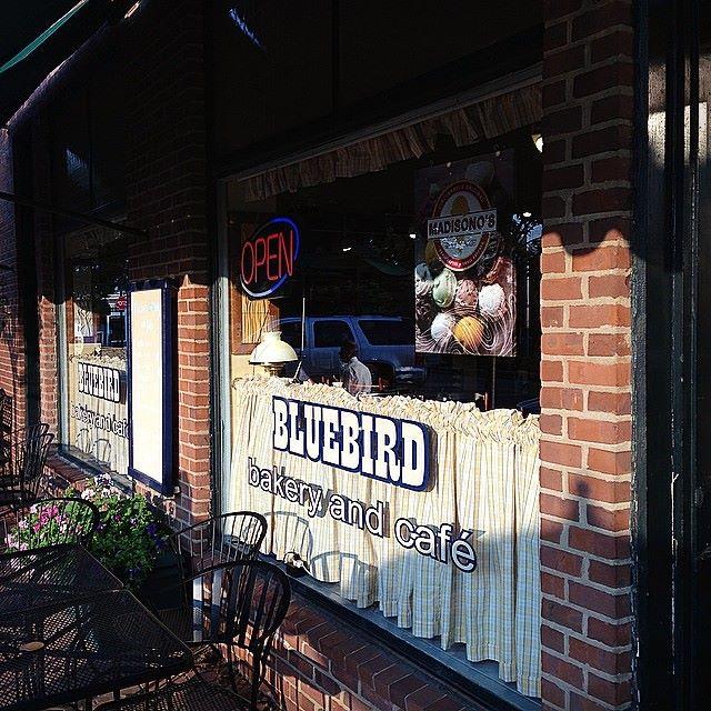 Bluebird Bakery Is Pet Friendly