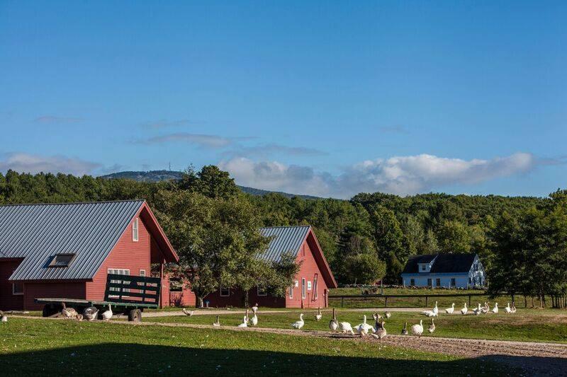 Dog Friendly Restaurants in Sunapee, NH - BringFido